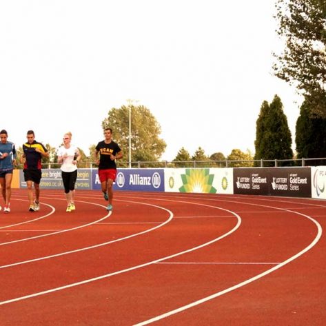 Perimeter Boards • Stadium Signage • Amayse Sports Branding